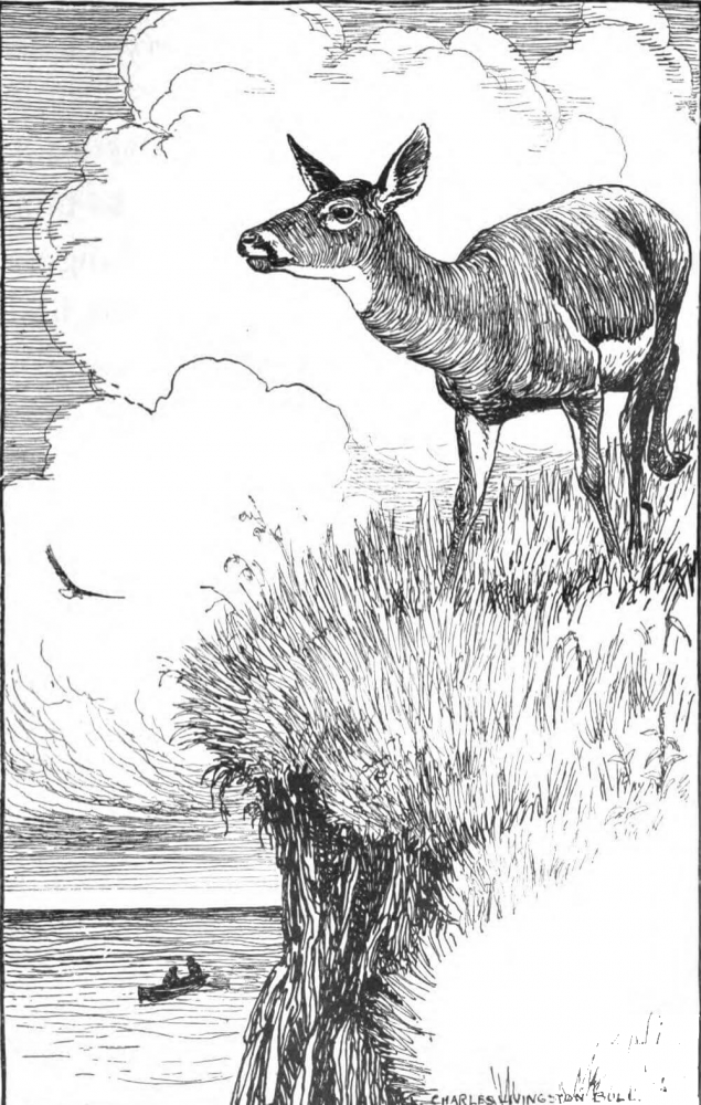 Aesop's Fables coloring page - ColouringPages