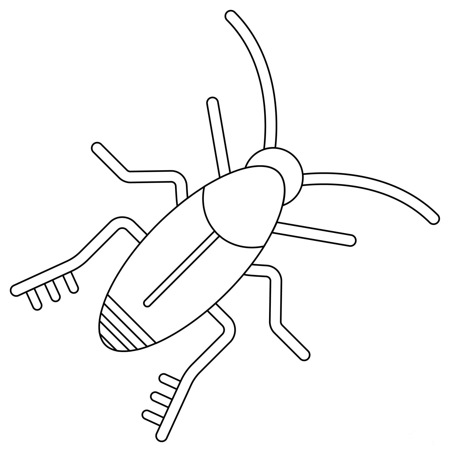 Cockroach coloring page - ColouringPages