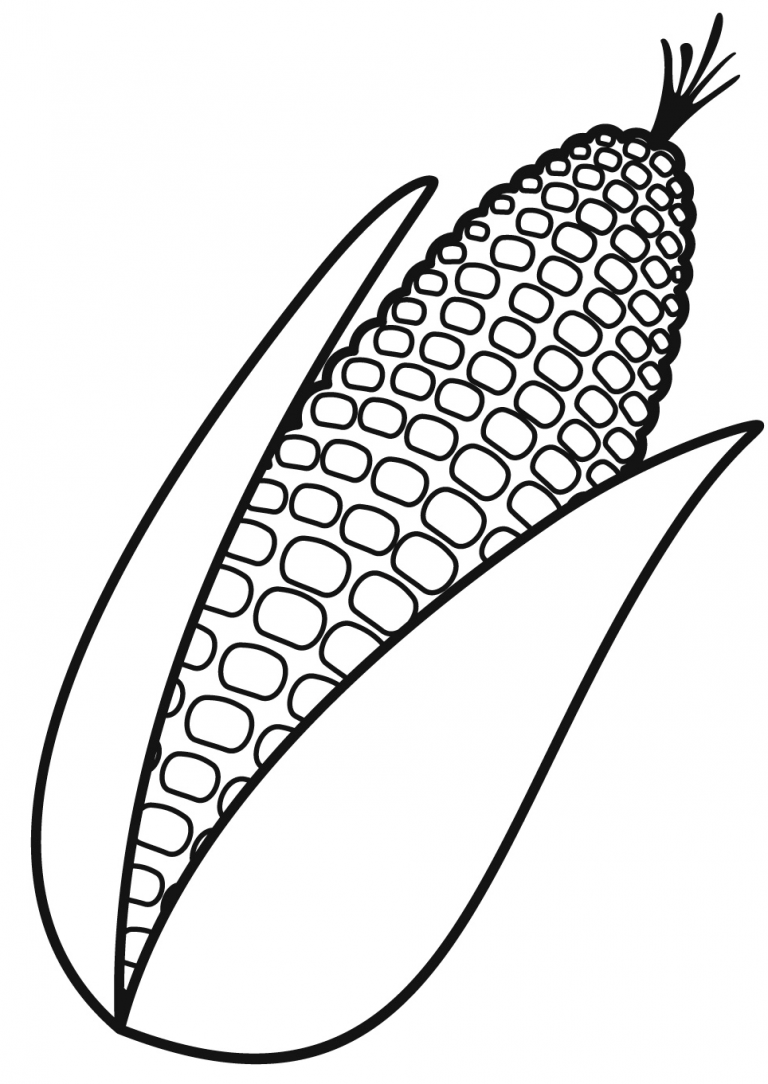 Corn Stalk coloring page - ColouringPages