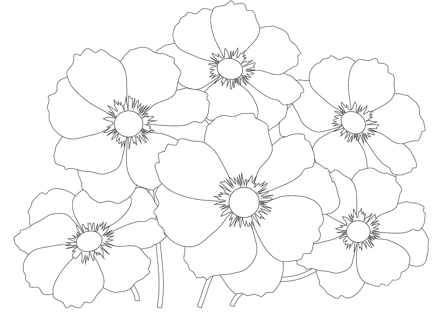 Cosmos Flowers coloring page - ColouringPages
