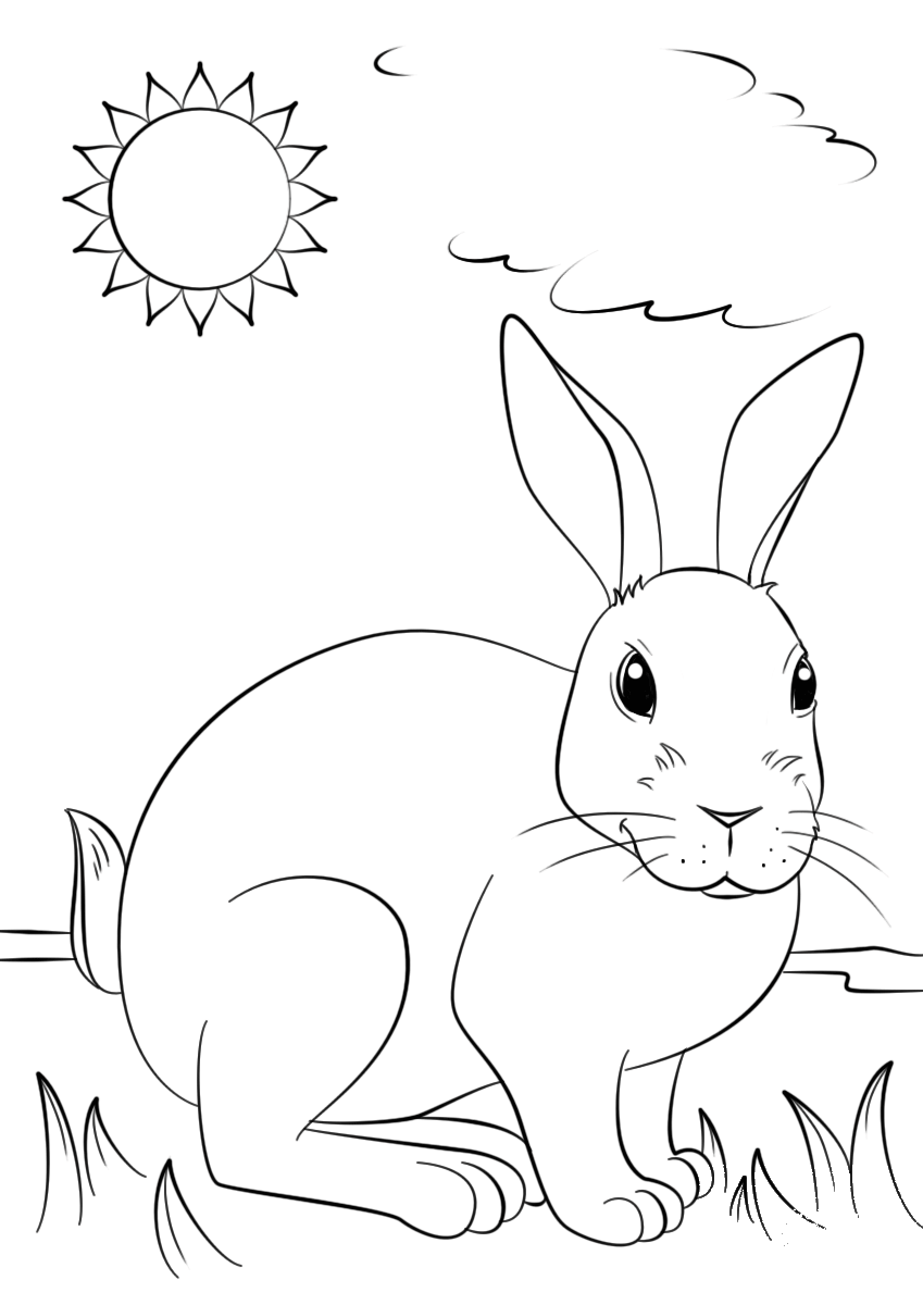 Cute Rabbit coloring page - ColouringPages