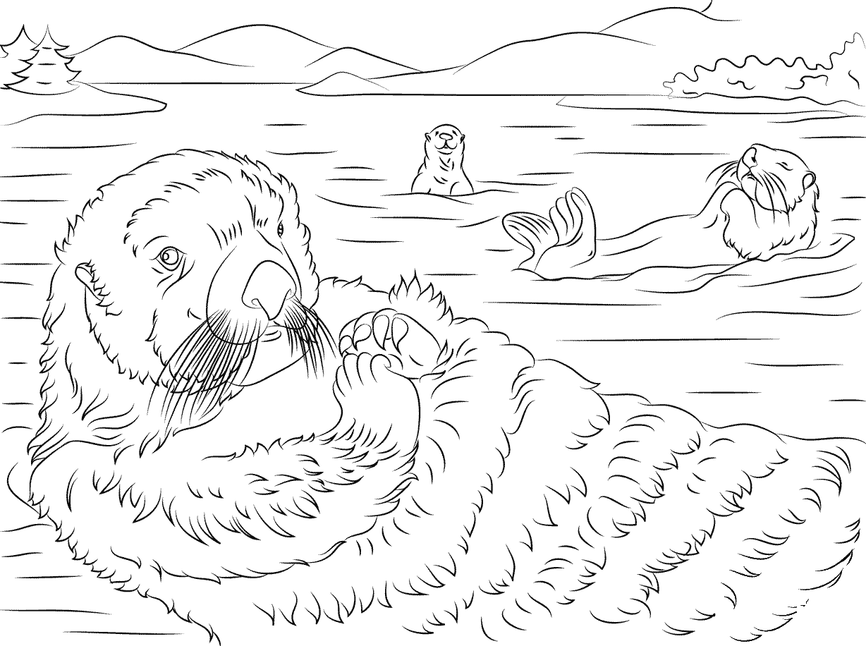 Cute Sea Otters coloring page - ColouringPages