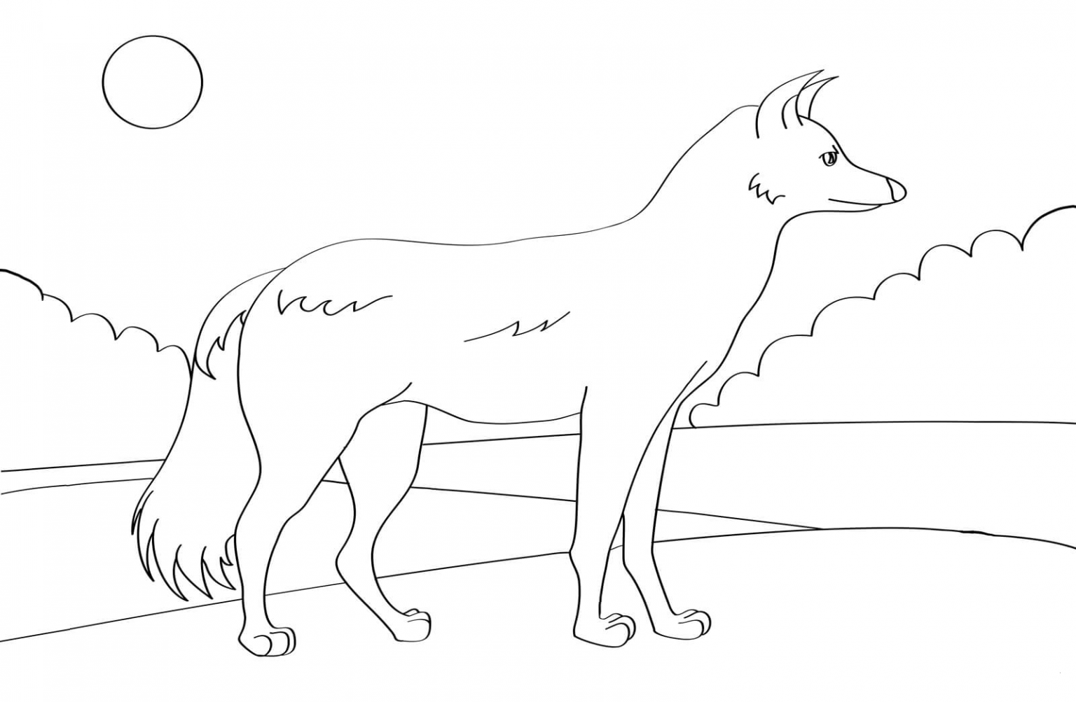 Cute Side Striped Jackal coloring page - ColouringPages