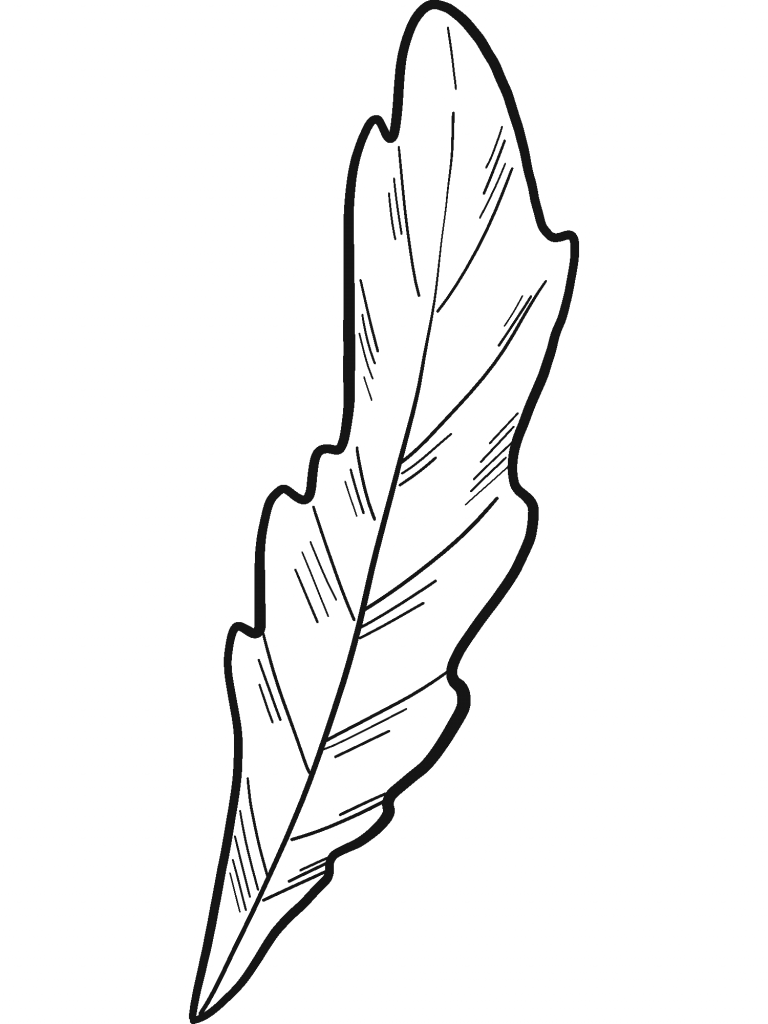 Daisy Leaf coloring page - ColouringPages