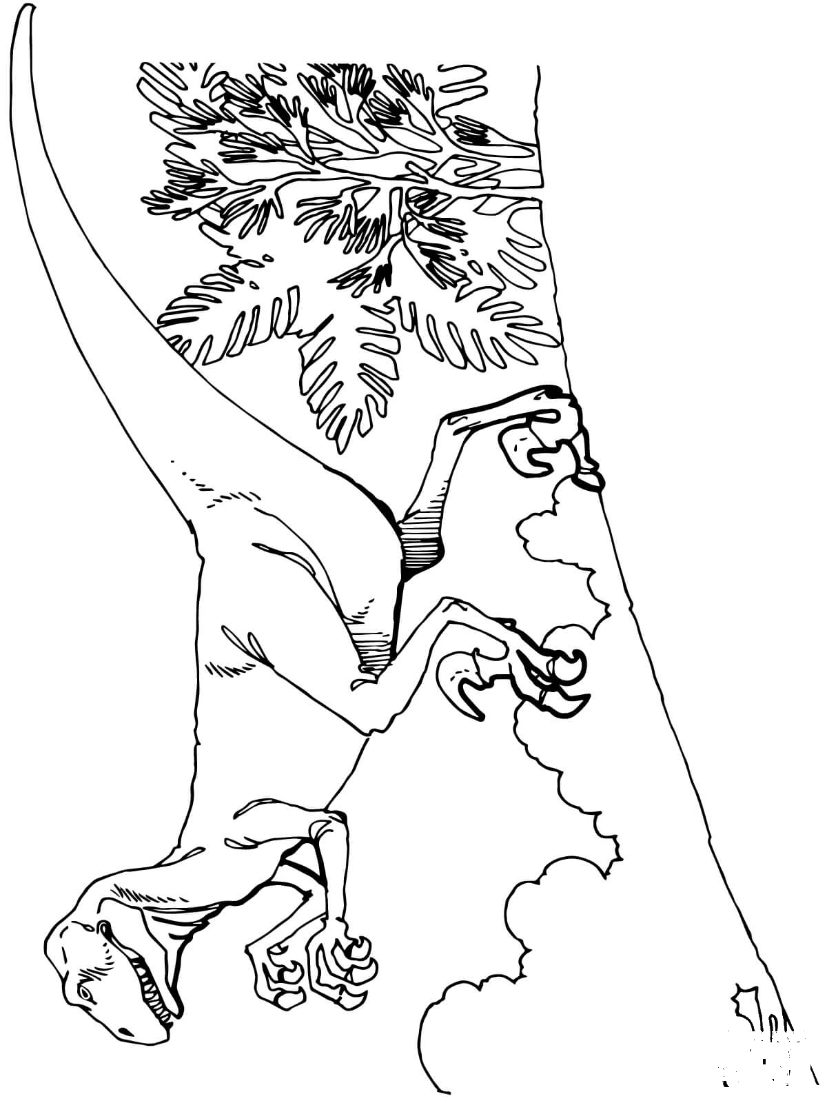 Deinonychus Carnivorous Dromaeosaurid Dinosaurs coloring page ...