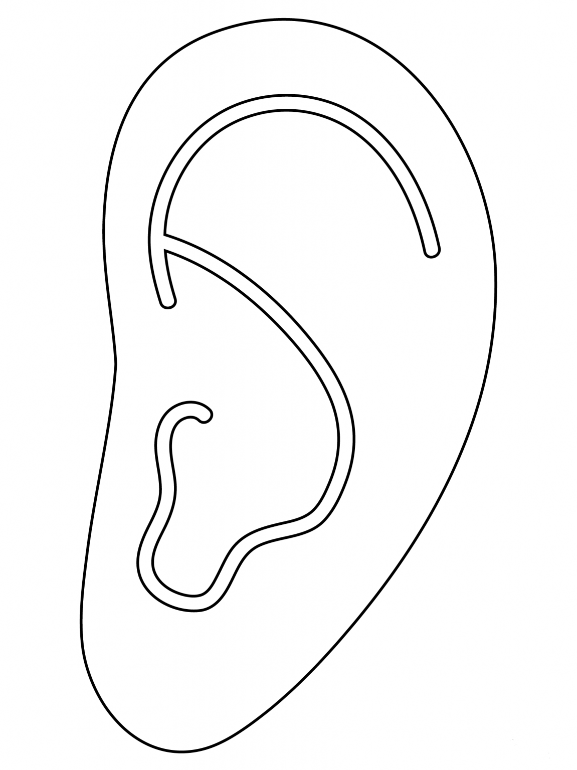 Ear Coloring Page Sketch Coloring Page