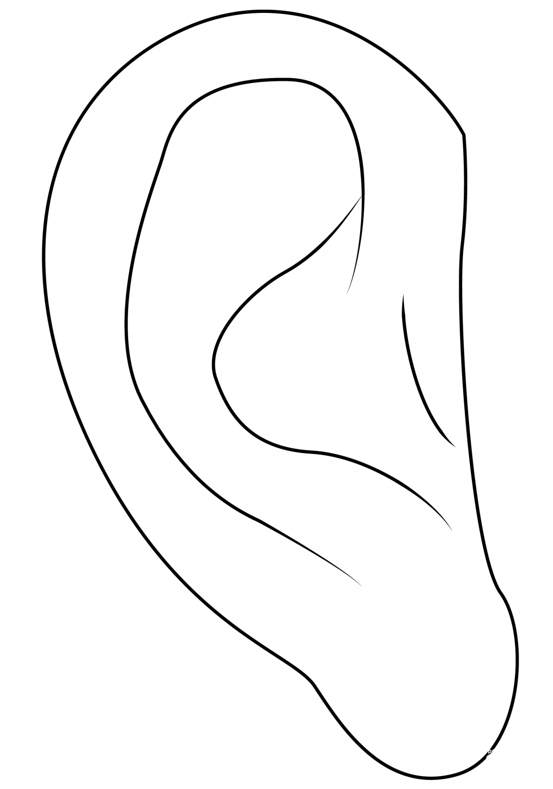 Ear coloring page - ColouringPages