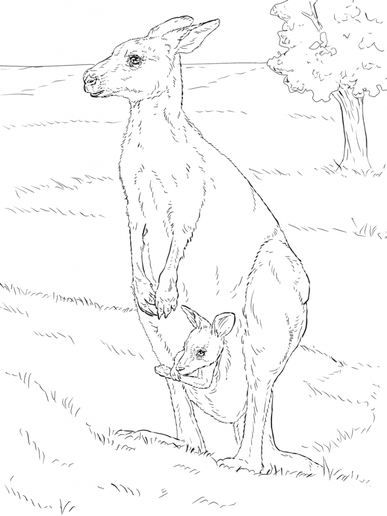 Eastern Kangaroo with Her Joey coloring page - ColouringPages