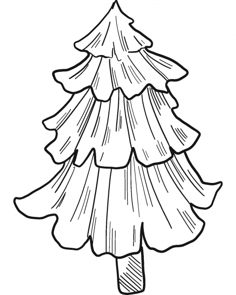 Evergreen Tree coloring page - ColouringPages