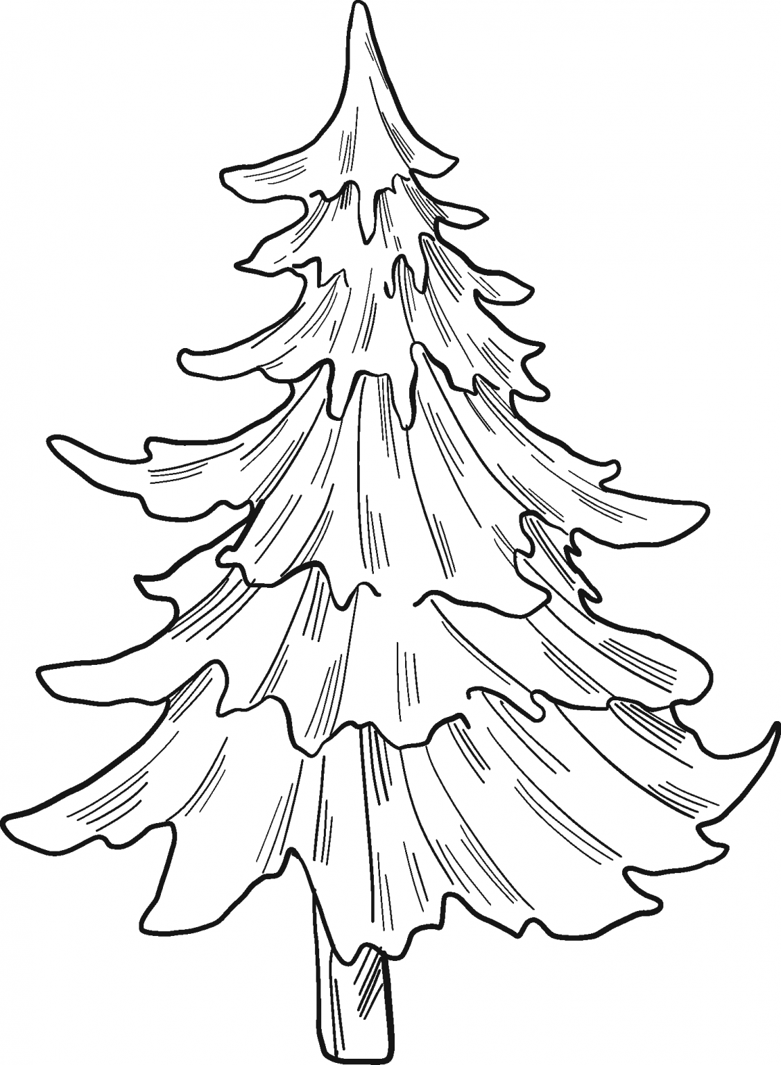Evergreen Tree coloring page - ColouringPages