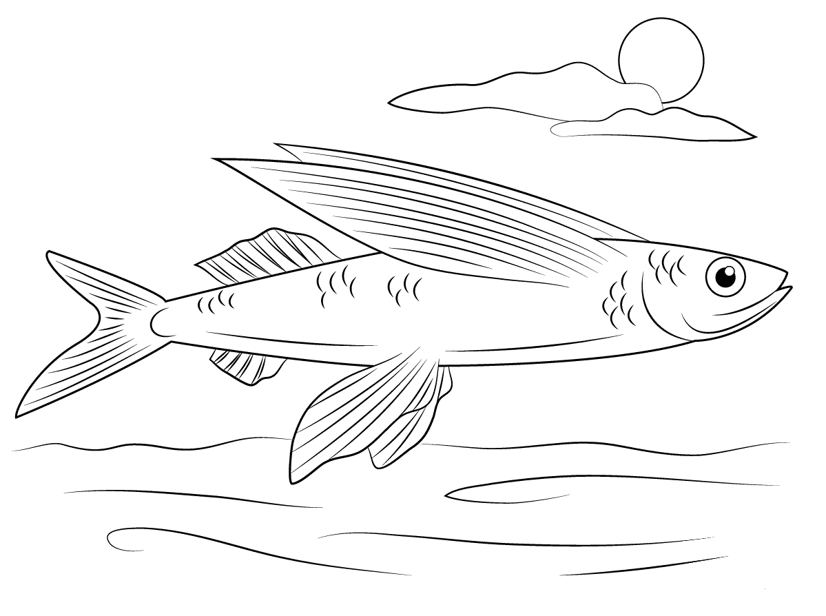 Flying Fish coloring page - ColouringPages