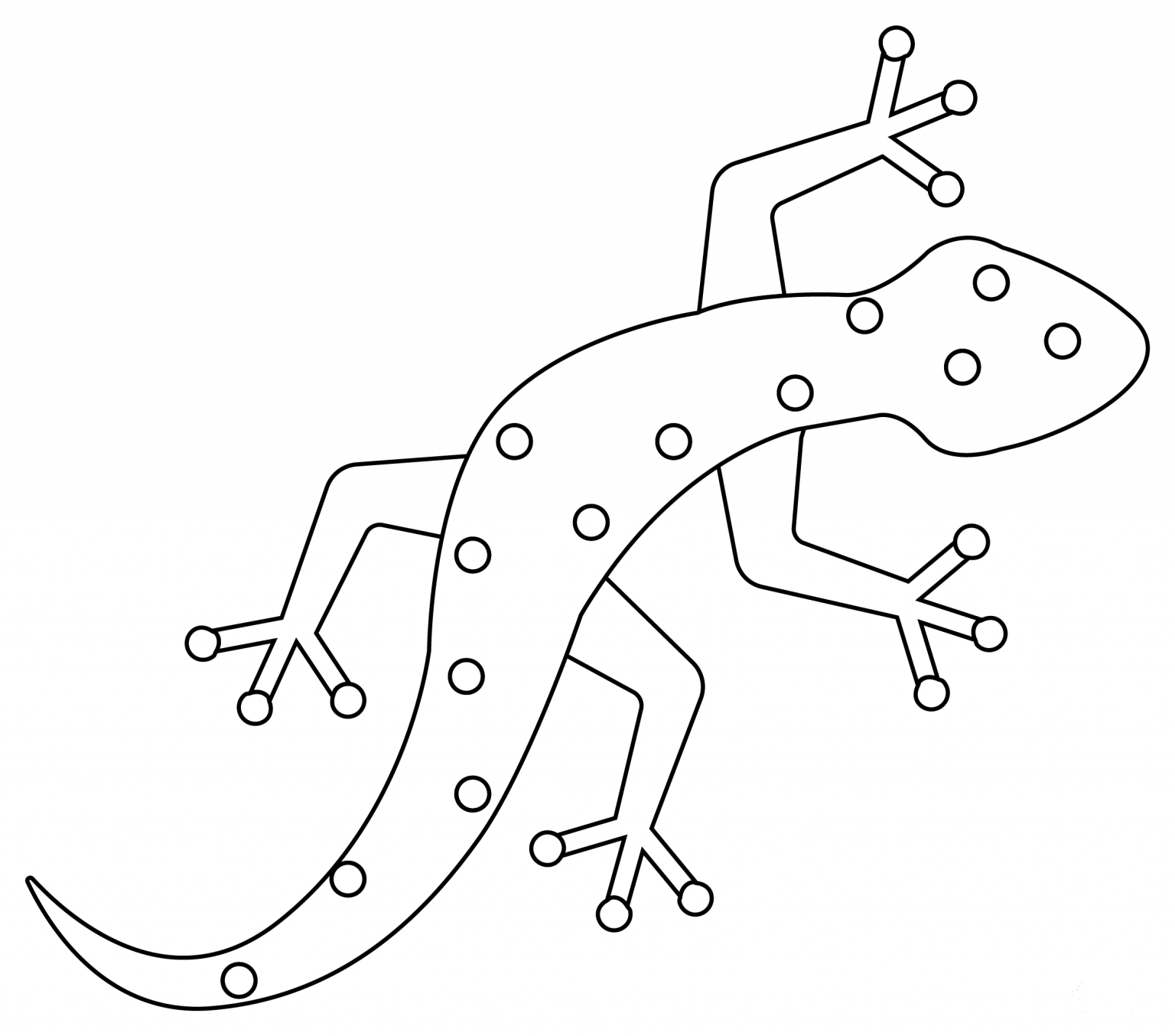 Gecko coloring page - ColouringPages