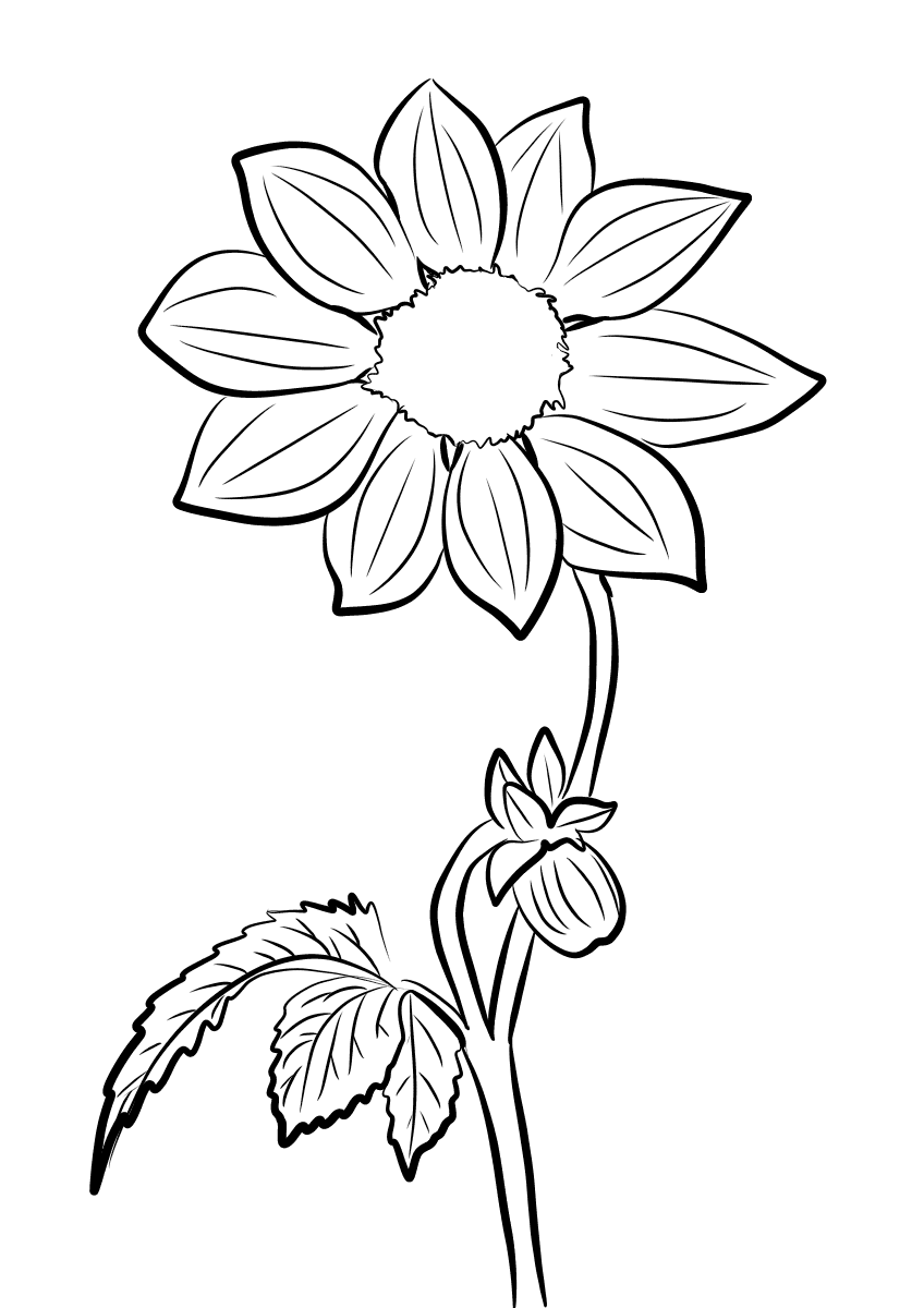 Georgina or Dahlia coloring page - ColouringPages