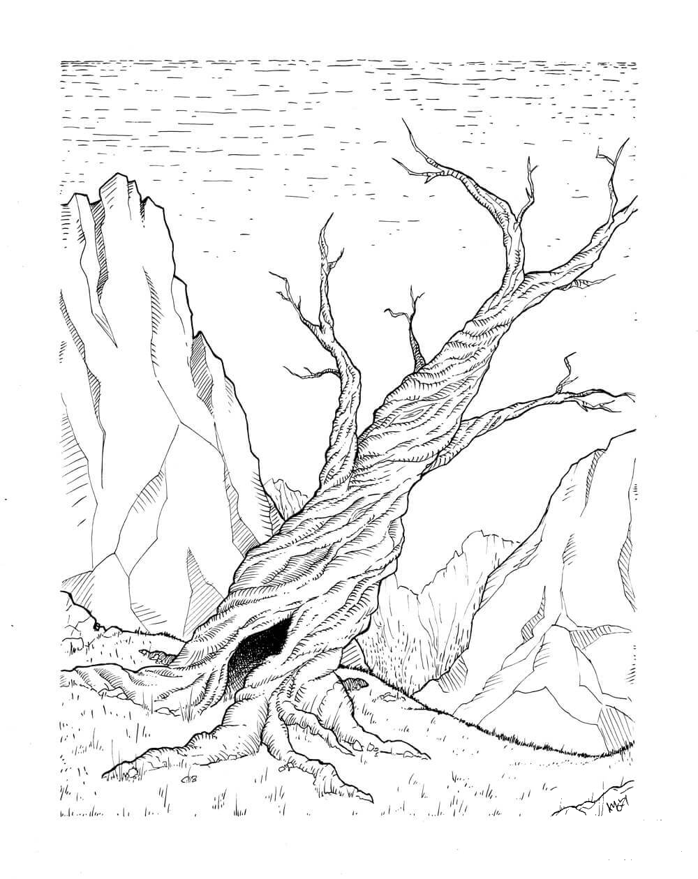 Gnarly Tree coloring page - ColouringPages