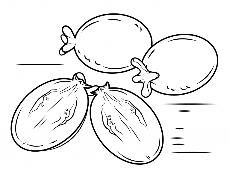 Guava Fruits coloring page - ColouringPages