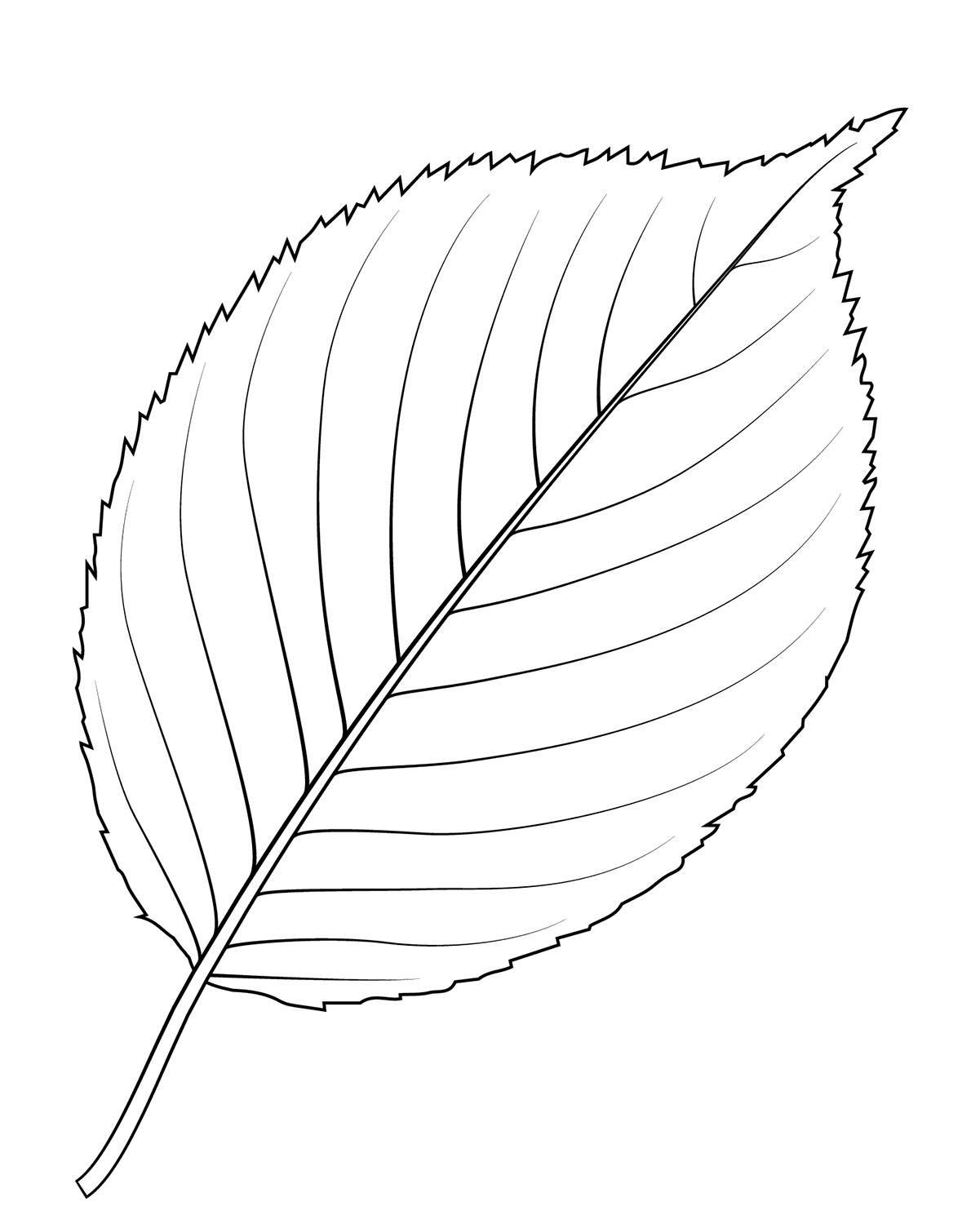 Apple Tree Leaf coloring page - ColouringPages