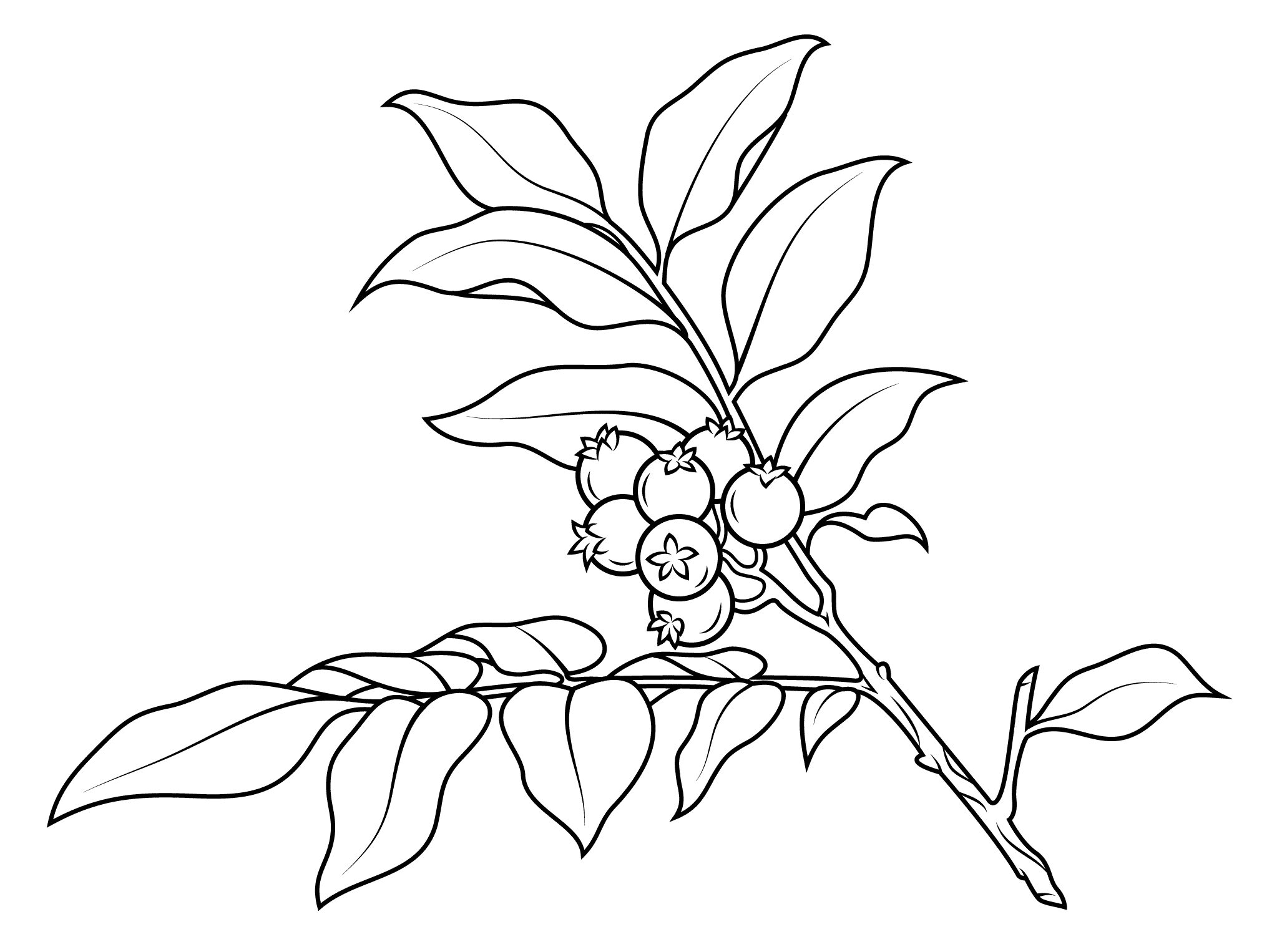 Huckleberry Branch coloring page - ColouringPages