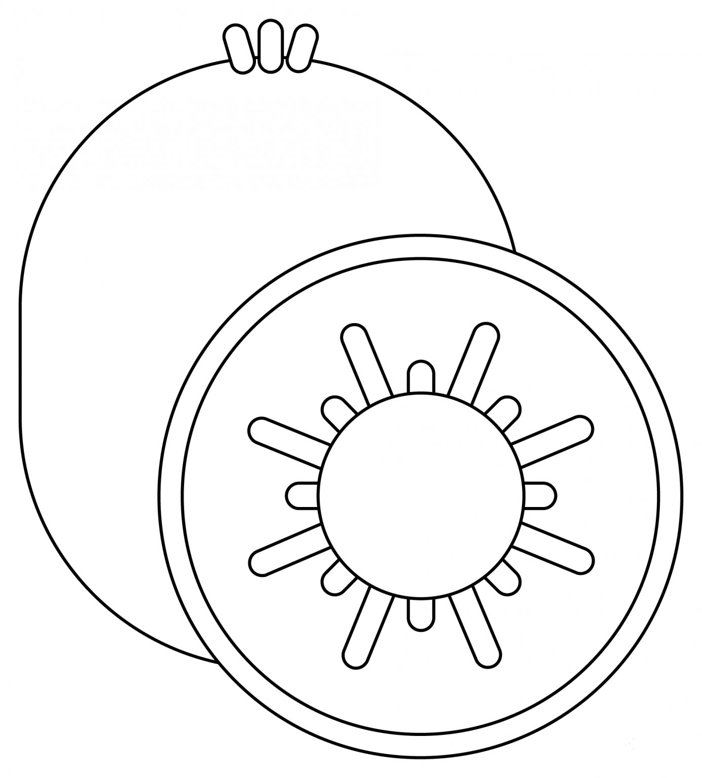 Kiwi coloring page - ColouringPages