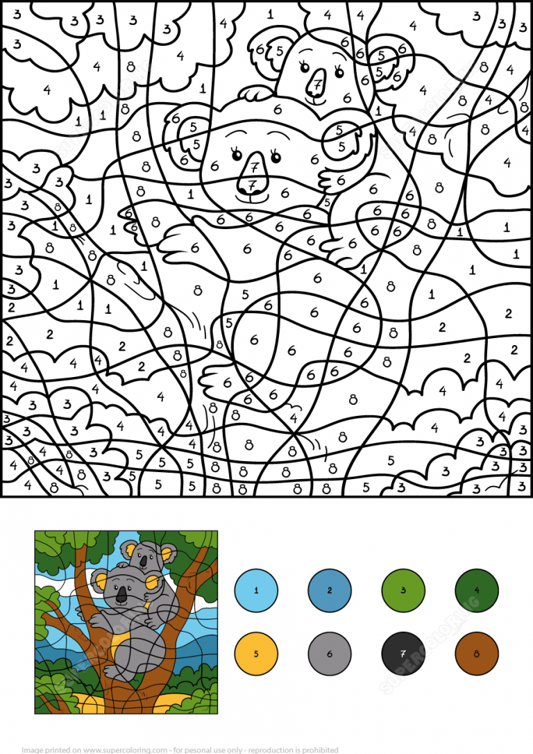 Koala Color by Number - ColouringPages