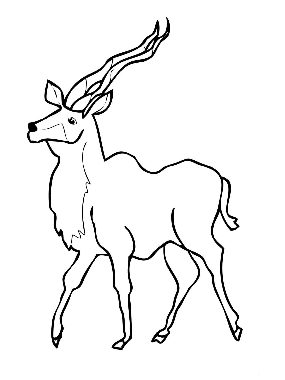 Kudu coloring page - ColouringPages