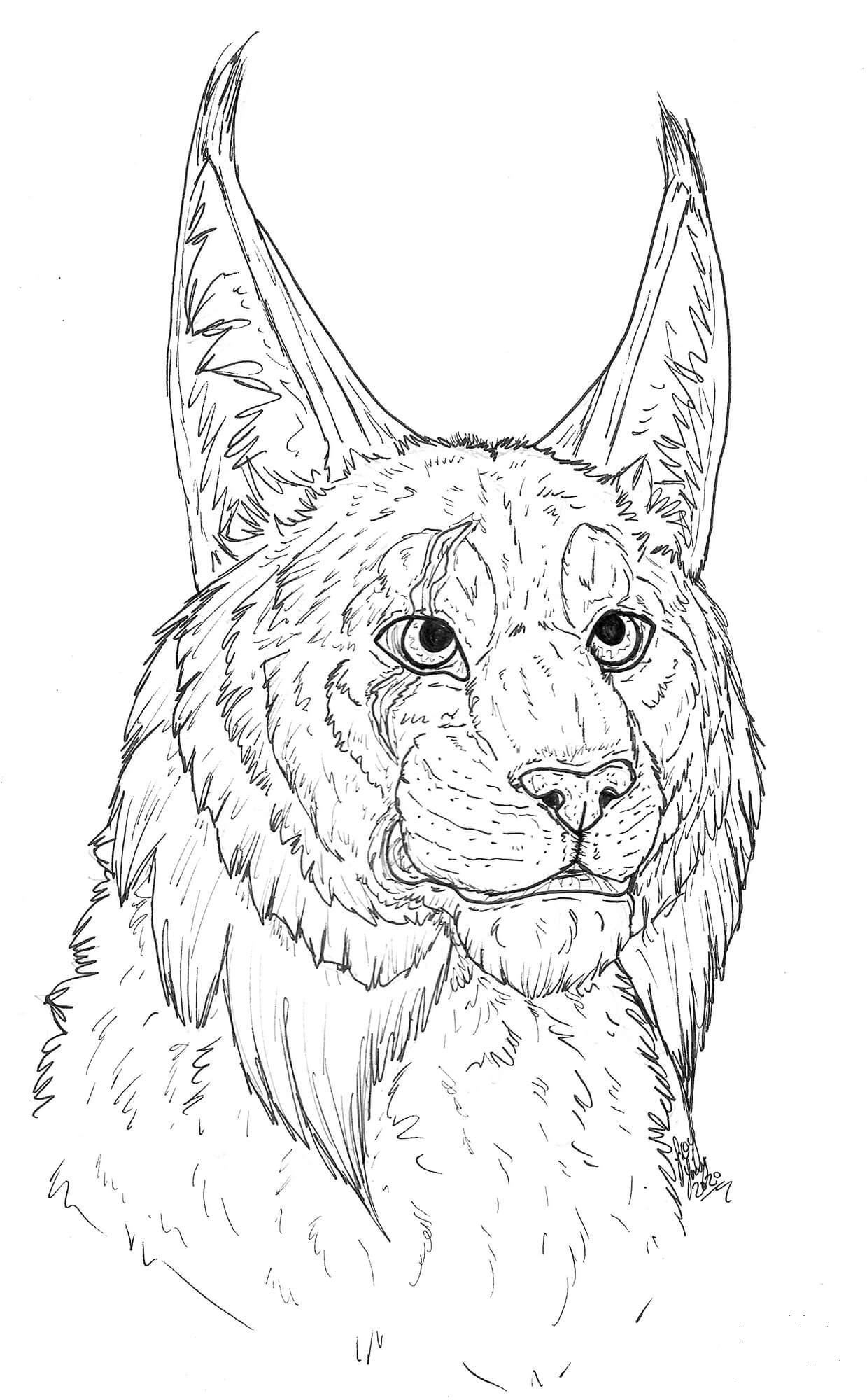 Lacy Head Fluff coloring page - ColouringPages