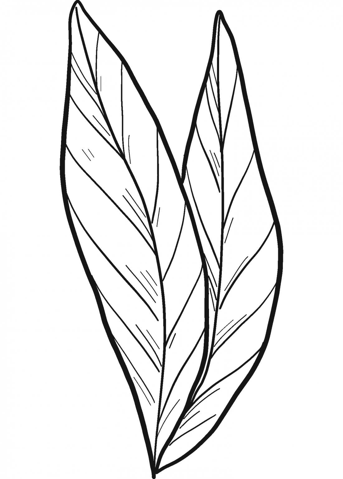 Laurel Leaves coloring page - ColouringPages