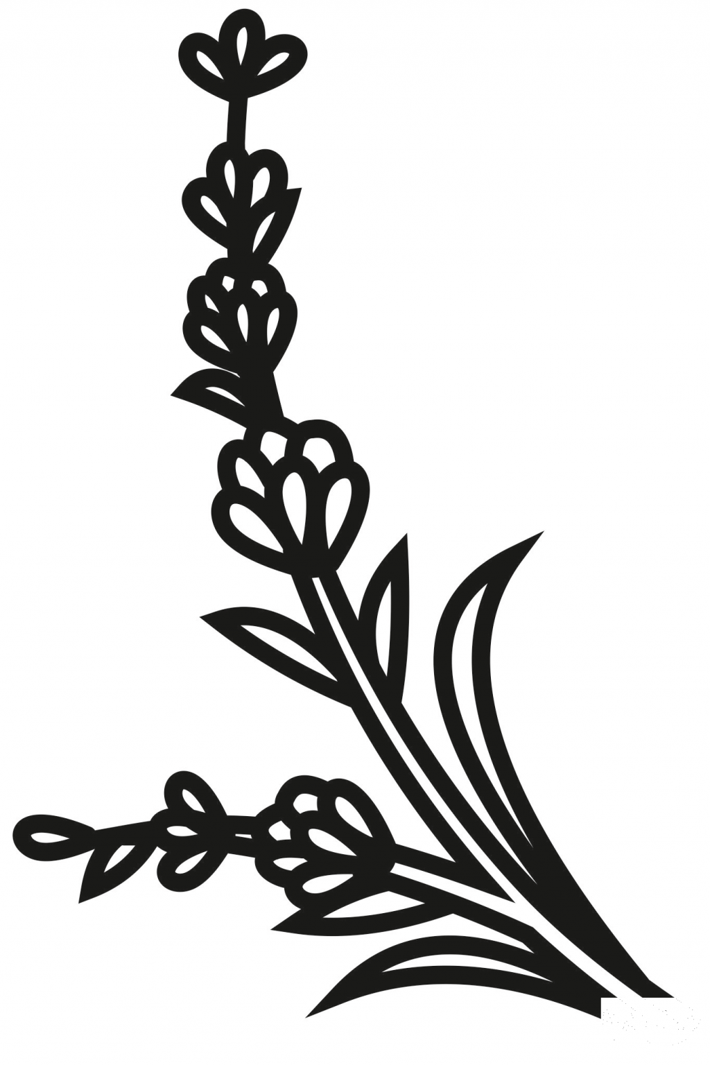 Lavender coloring page - ColouringPages
