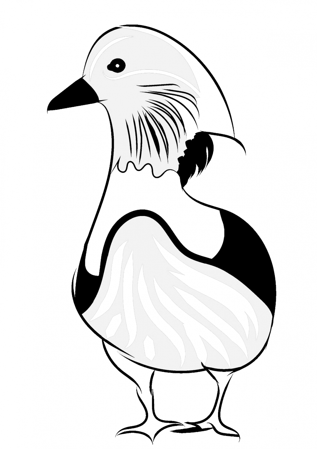 Mandarin Duck coloring page - ColouringPages