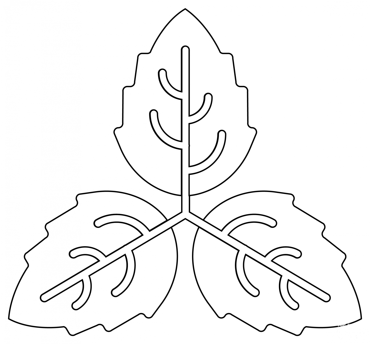 Mint Plant coloring page - ColouringPages