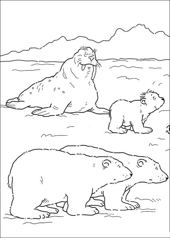 Mommy Polar Bear, Daddy Polar Bear, Lars And Walrus coloring page ...