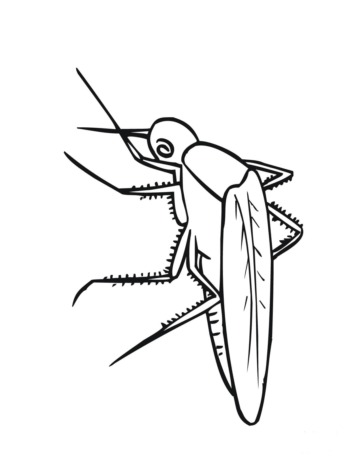 Mosquito coloring page - ColouringPages