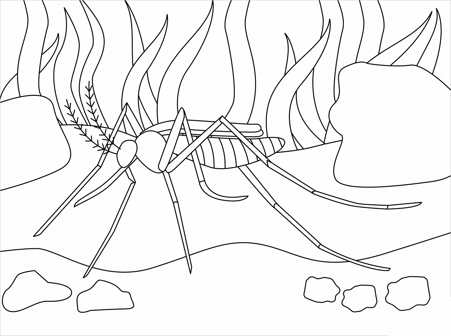 Mosquito coloring page - ColouringPages