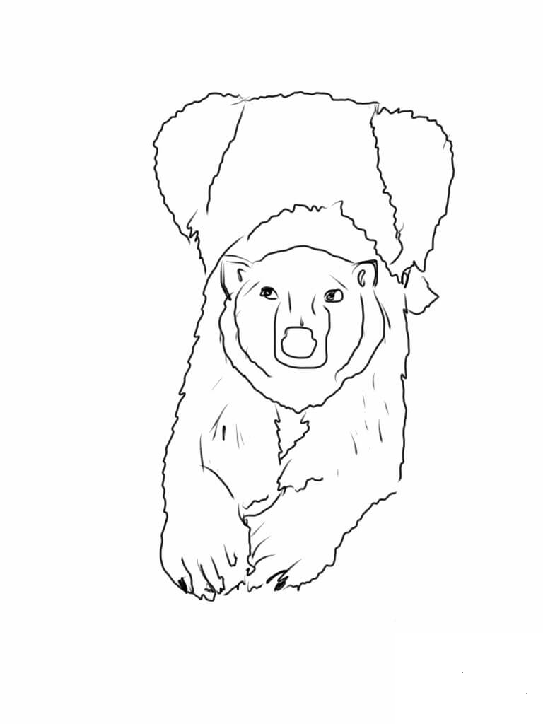Mother Polar Bear Lying Down And Facing Us coloring page - ColouringPages