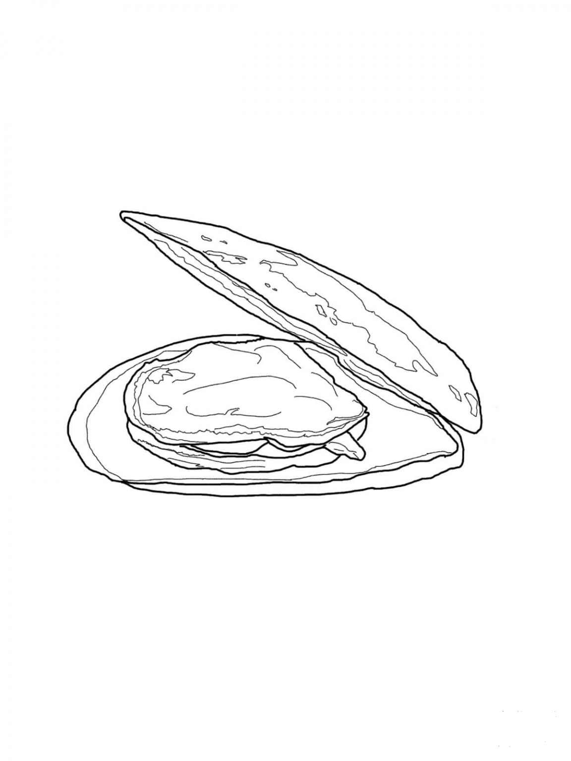 Open Mussel coloring page - ColouringPages