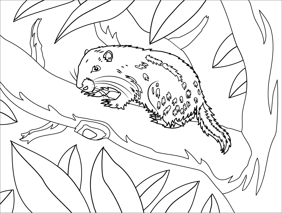 Pacarana coloring page - ColouringPages