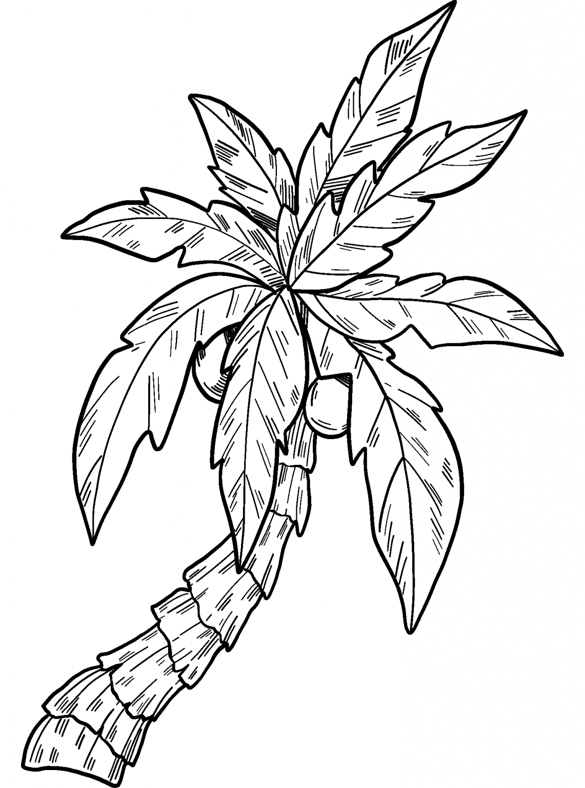Palm Tree coloring page - ColouringPages