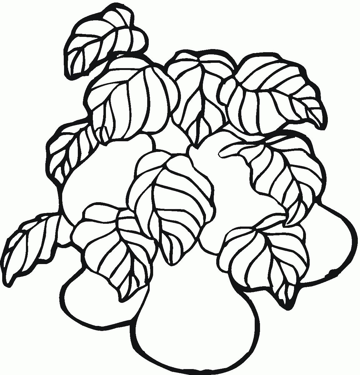 Pear coloring page - ColouringPages