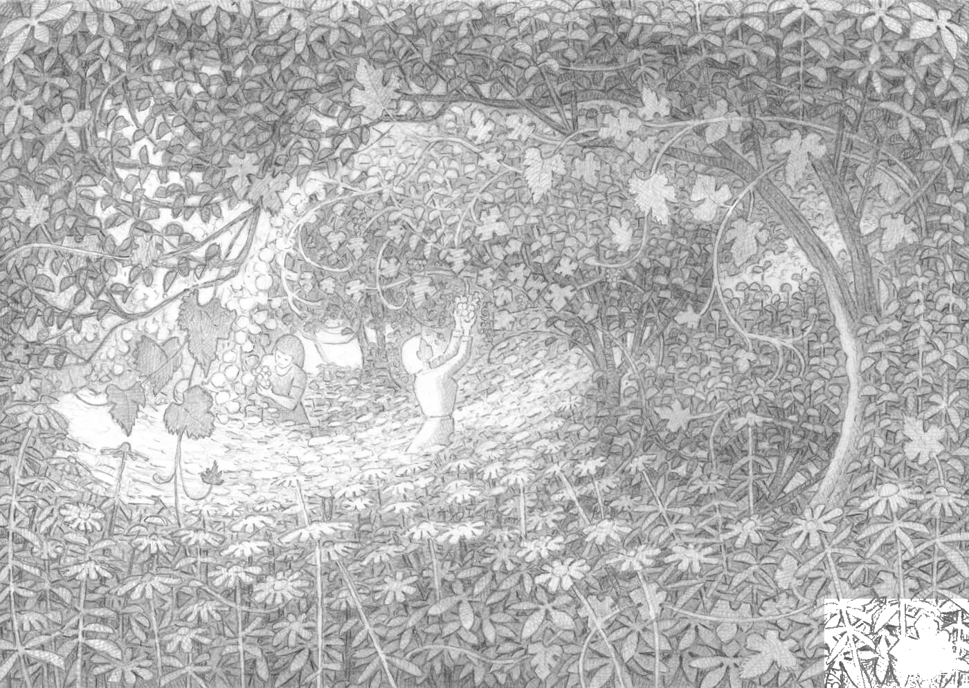 At the Old Vineyard coloring page - ColouringPages