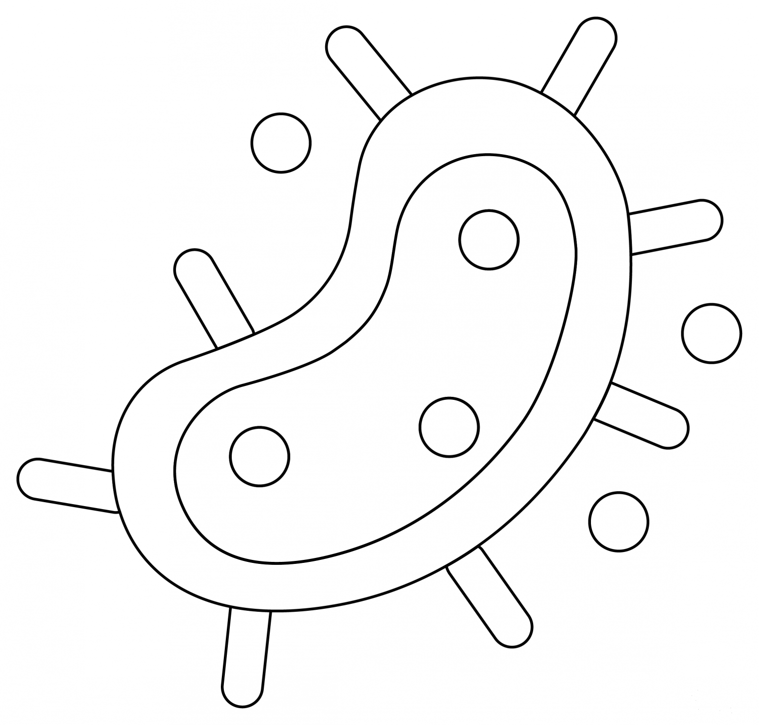 Bacteria coloring page - ColouringPages