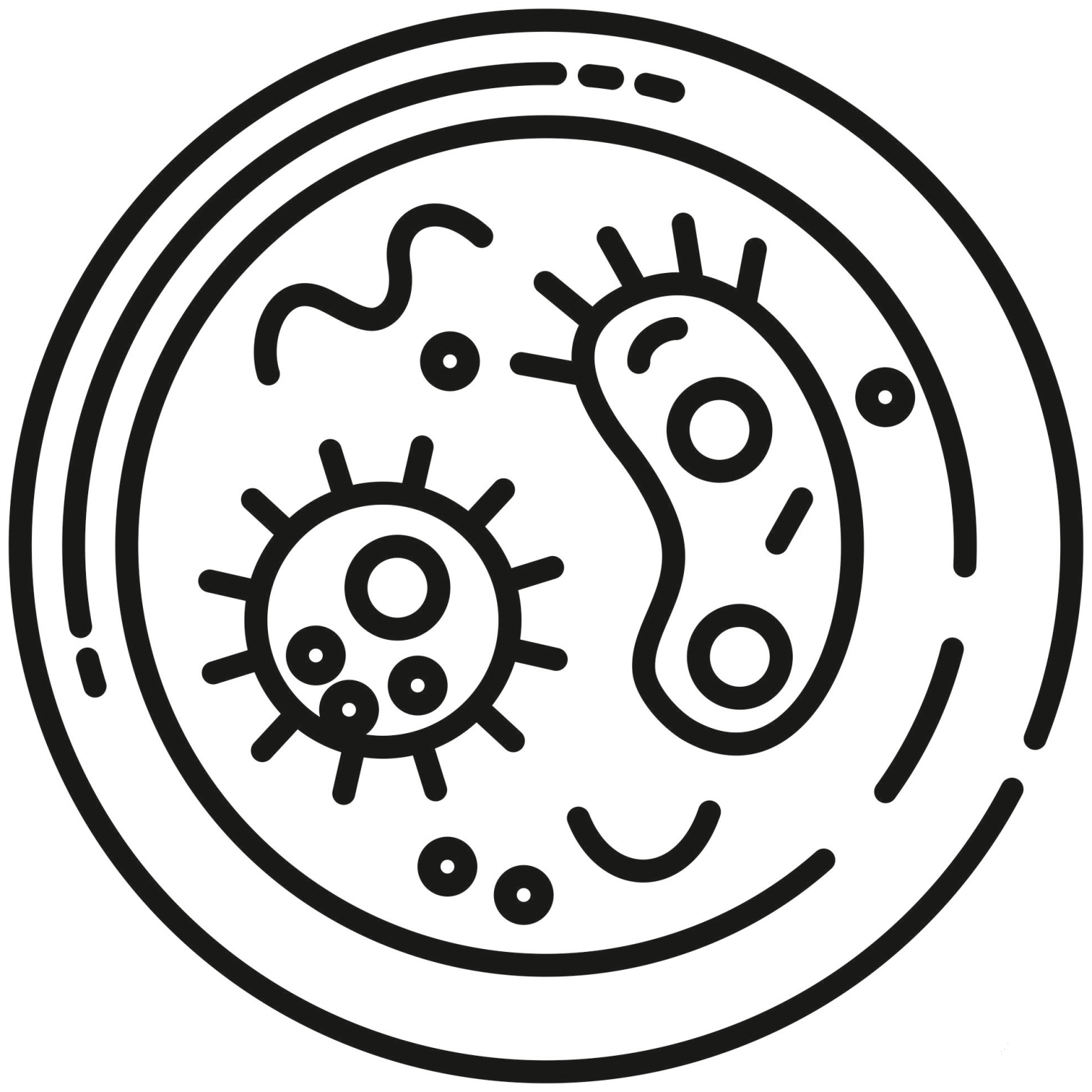 Bacteria coloring page - ColouringPages