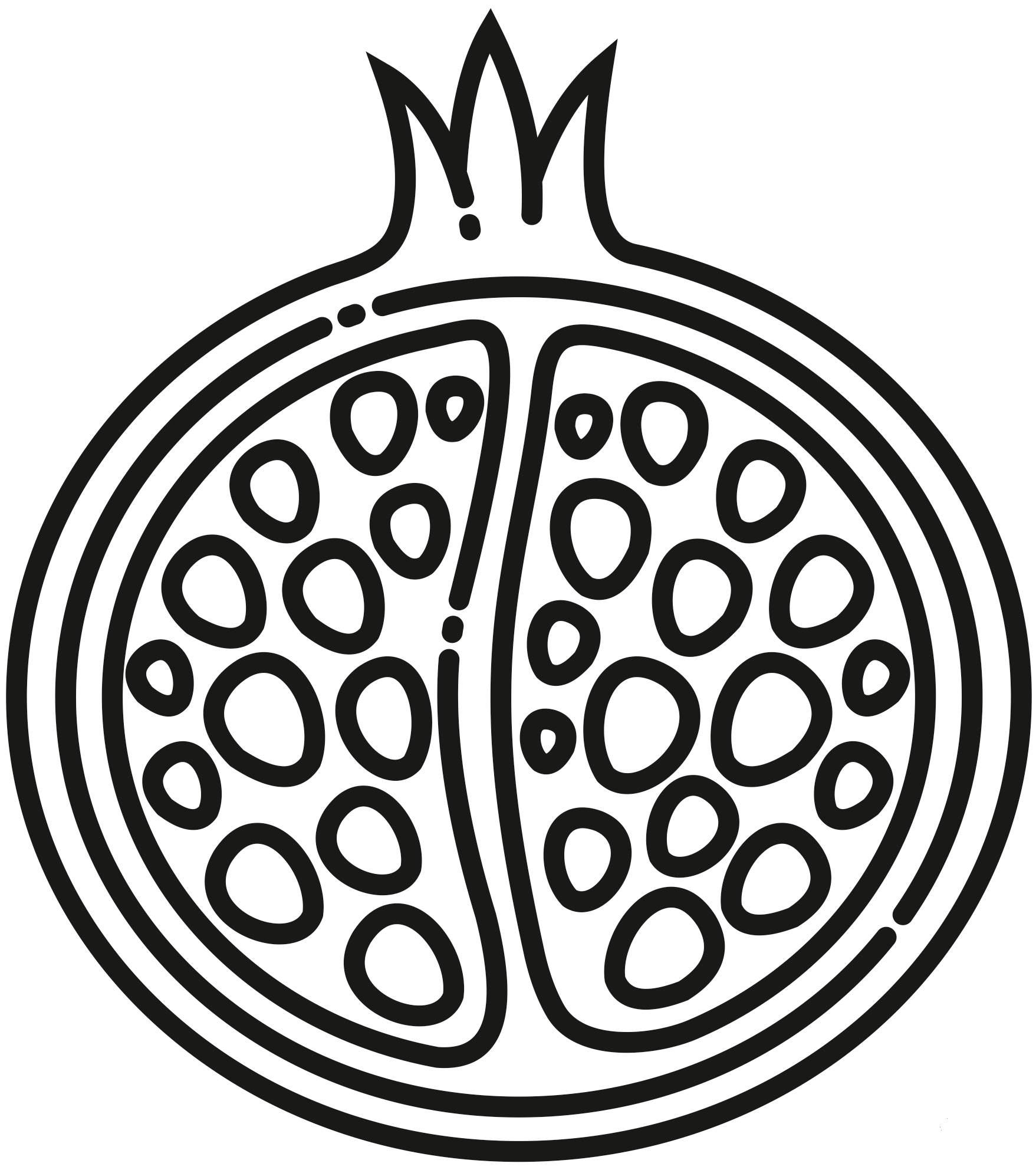 Pomegranate coloring page - ColouringPages