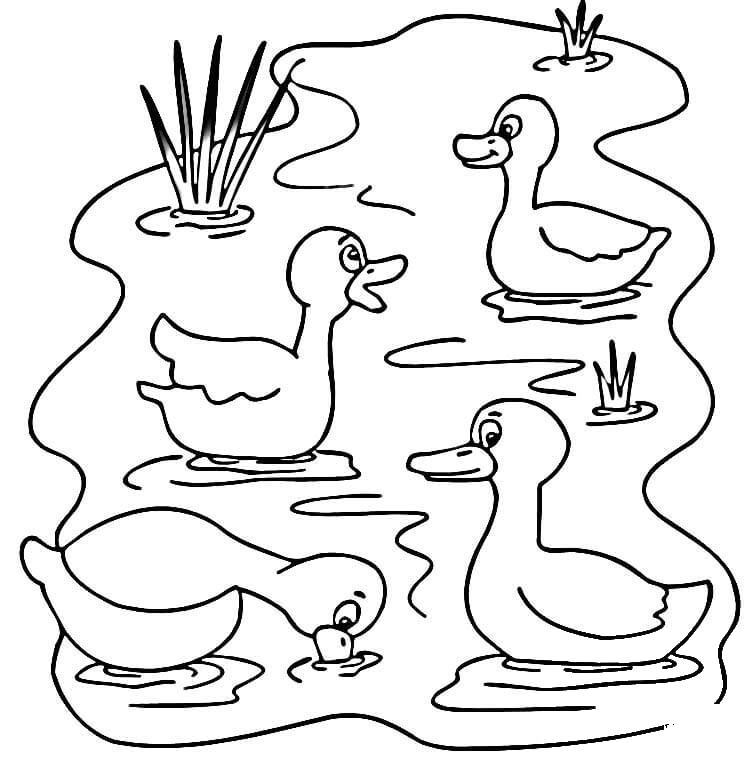 Pond Animals coloring page - ColouringPages