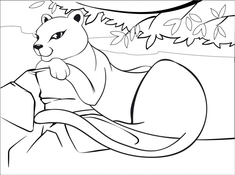 Puma coloring page - ColouringPages