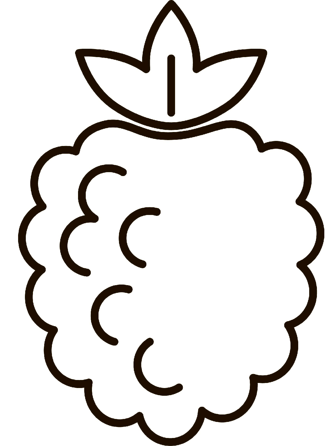 Raspberry coloring page - ColouringPages