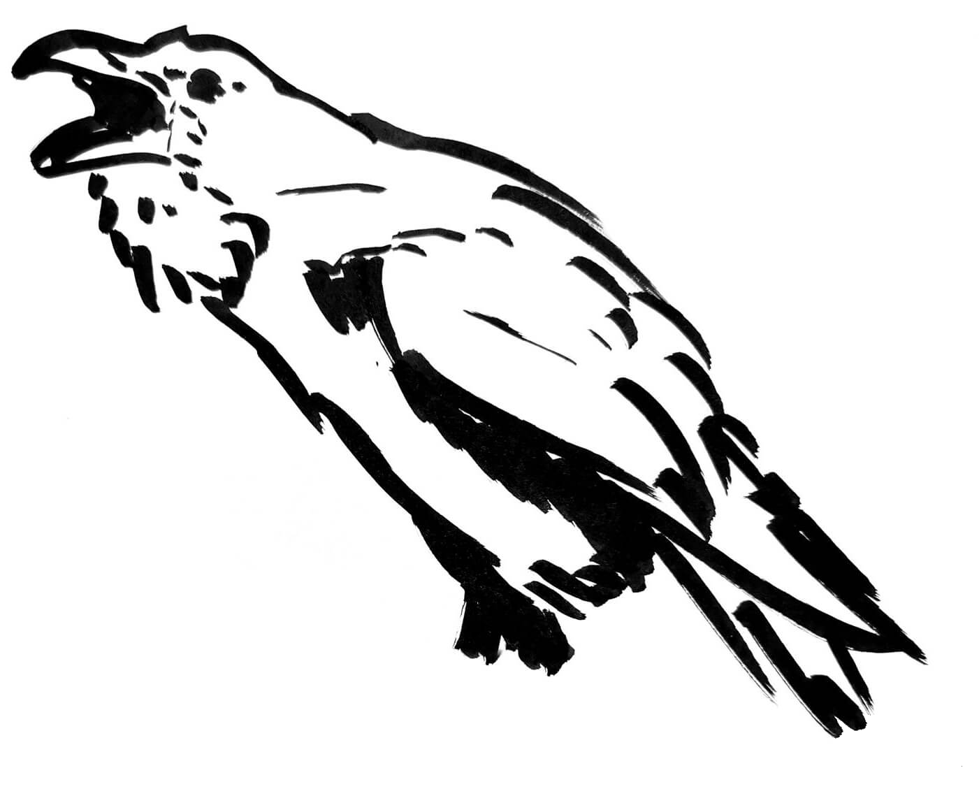 Raven coloring page - ColouringPages