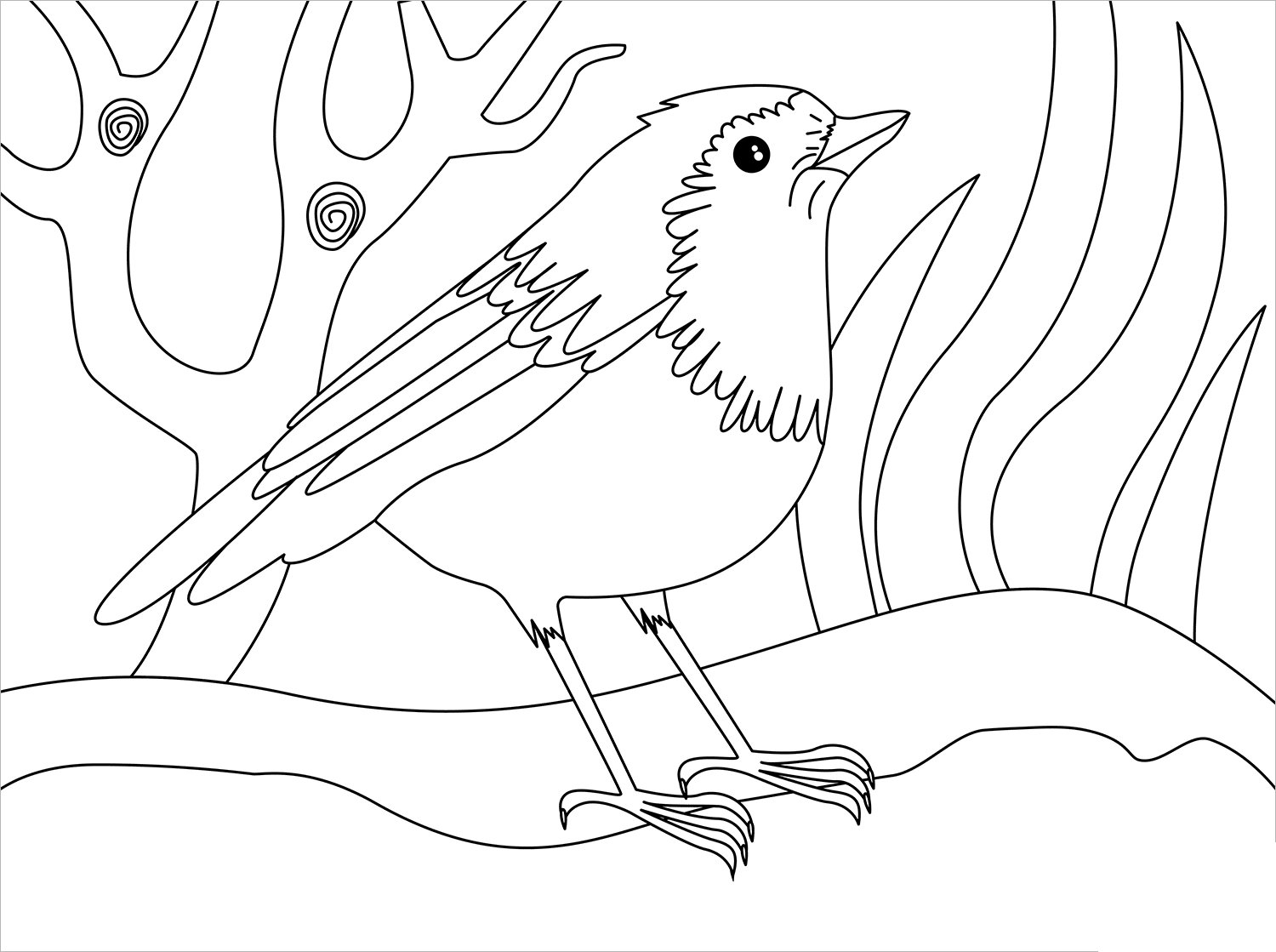 Robin coloring page - ColouringPages