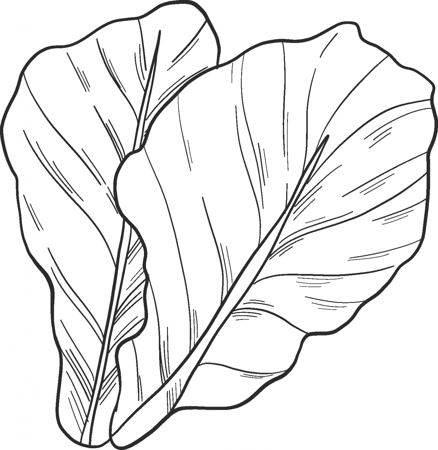 Salad coloring page - ColouringPages