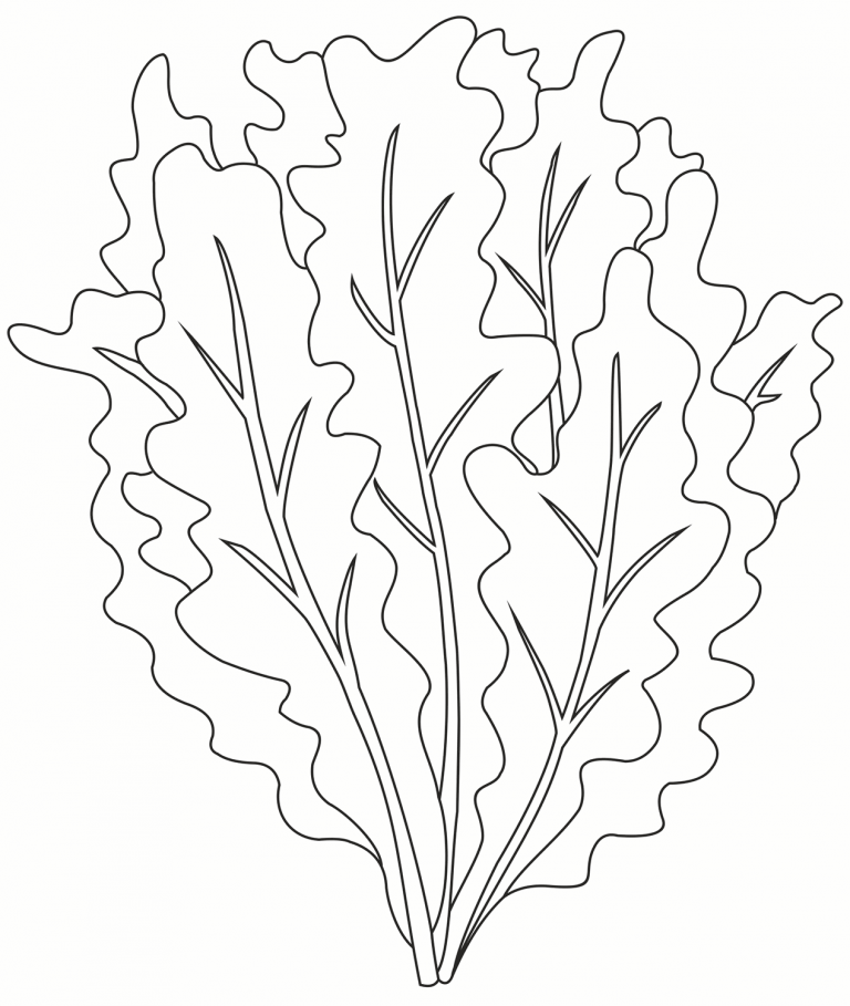 Salad coloring page - ColouringPages
