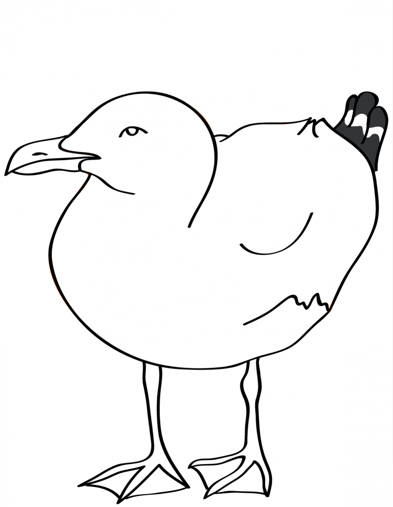 Seagull coloring page - ColouringPages