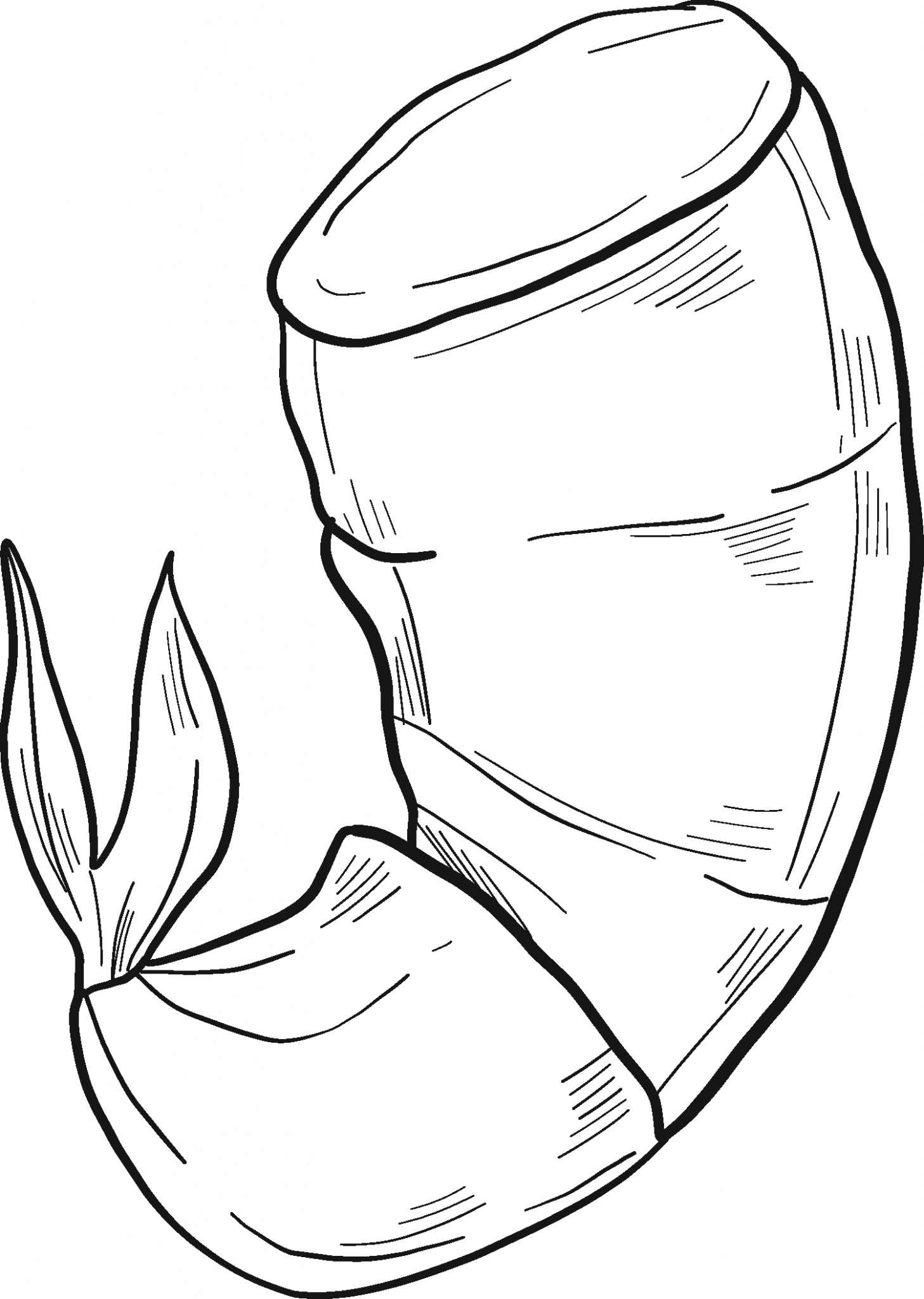 Shrimp coloring page - ColouringPages